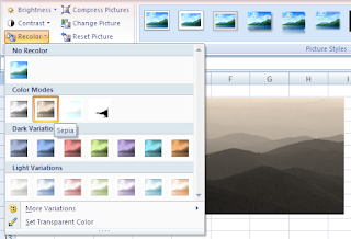 Cara Mengatur Warna Gambar Dengan Menu Recolor Dalam Excel - ADH-EXCEL ...